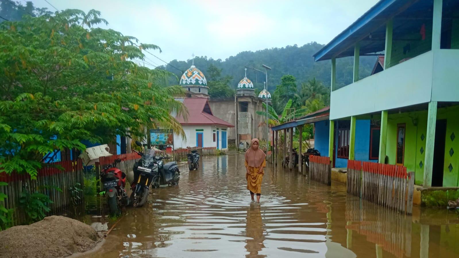 Sungai Meluap Rendam Ratusan Rumah di Desa Onepute Morowali Utara - Harian Sulteng